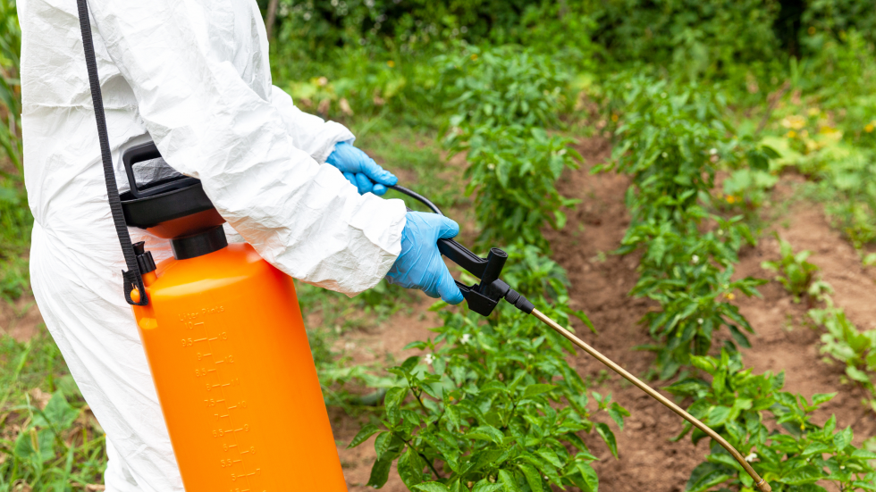 Glyphosate and its effects on health - Pursue Wellness
